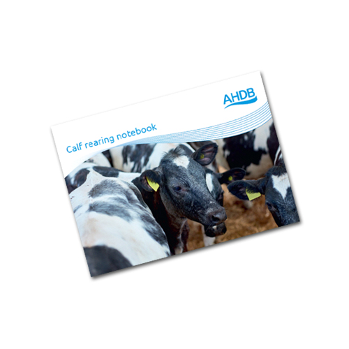 Calf rearing notebook – AHDB Catalogue