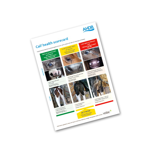 Dairy – AHDB Catalogue