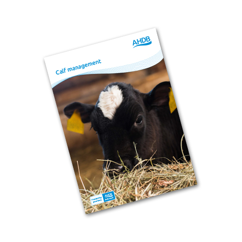 Dairy – AHDB Catalogue