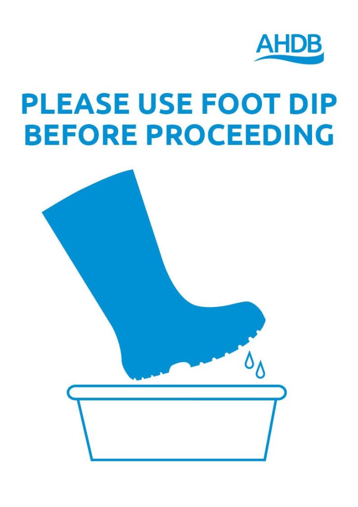 Foot Dip A4 Sign – AHDB Catalogue