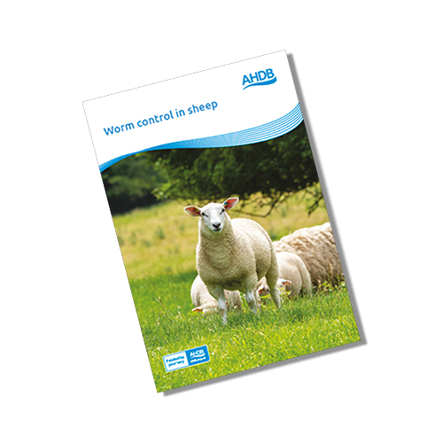 Worm control in sheep – AHDB Catalogue
