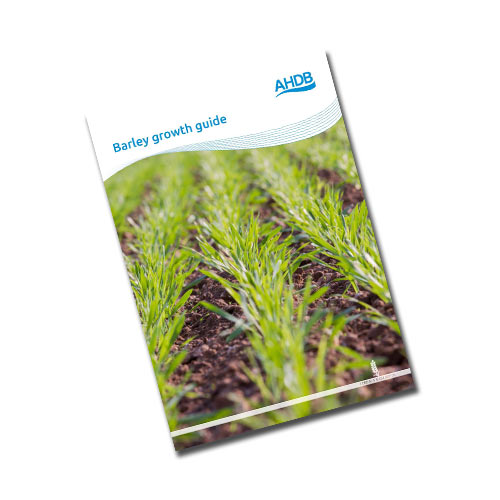Barley growth guide – AHDB Catalogue