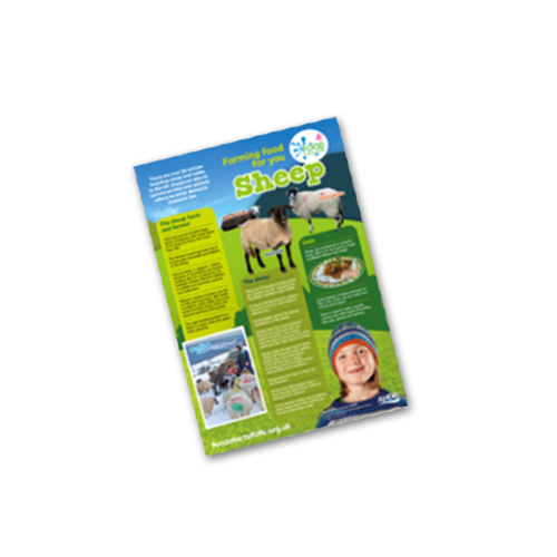 Farming food for you: Sheep – AHDB Catalogue