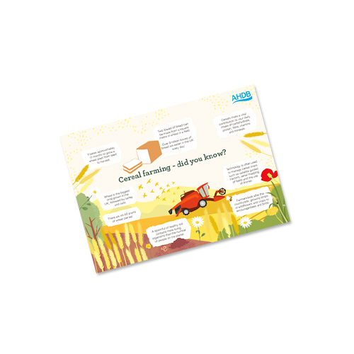 Farm visit activity sheet: Cereals (pack of 20) – AHDB Catalogue