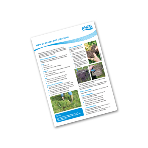 Pork – AHDB Catalogue