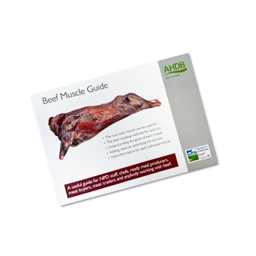 Beef muscle guide – AHDB Catalogue