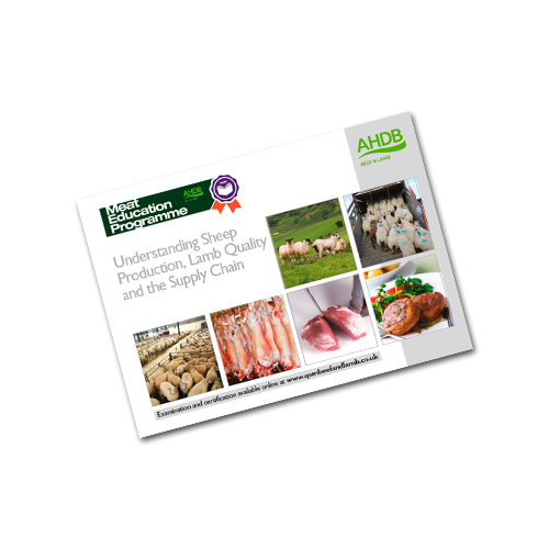 Understanding lamb production – AHDB Catalogue