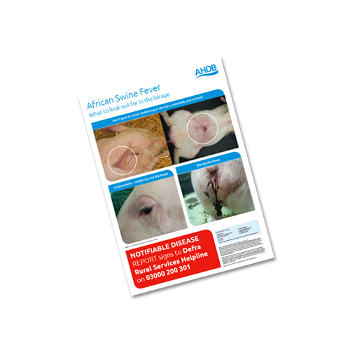African Swine Fever Lairage Poster – AHDB Catalogue