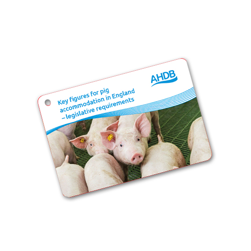Key figures for pig accommodation booklet – AHDB Catalogue