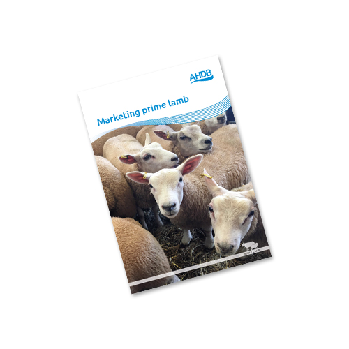 Calf management guide – AHDB Catalogue