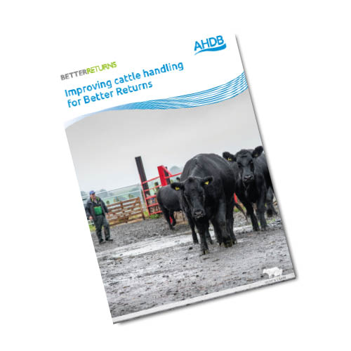 Calf management guide – AHDB Catalogue