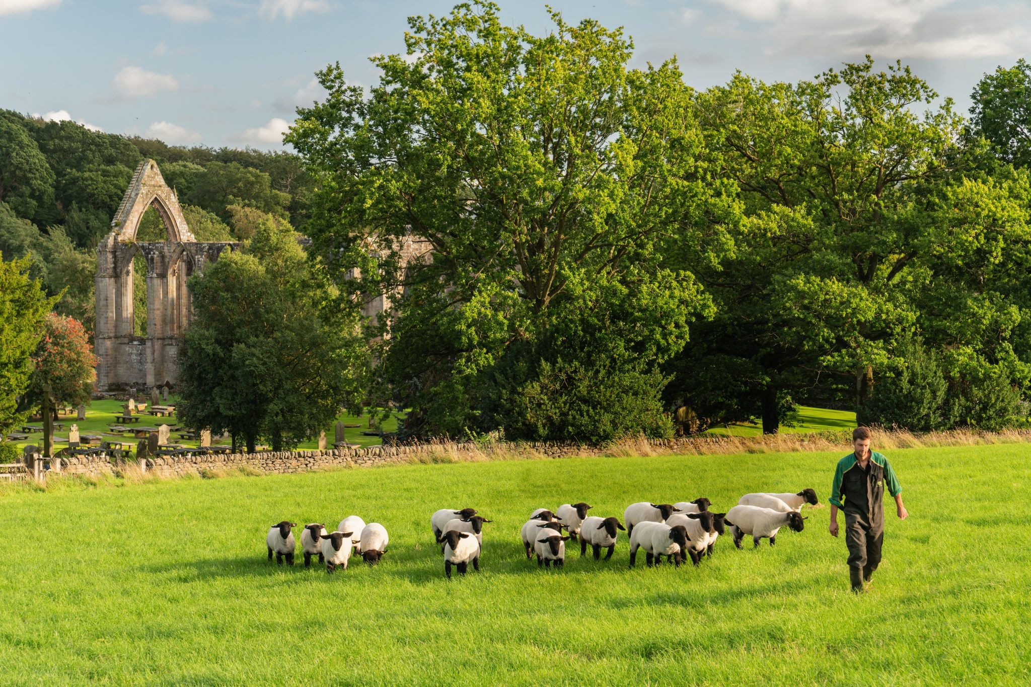 AHDB Catalogue – Welcome to the AHDB catalogue.