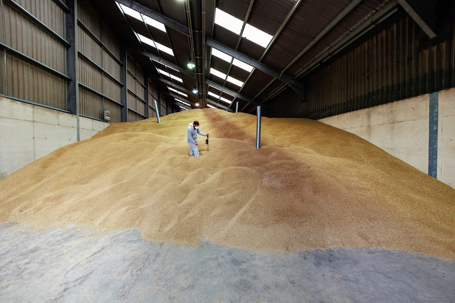 AHDB Catalogue – Welcome to the AHDB catalogue.